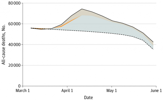 Excess Deaths, March-May 2020 | Econbrowser